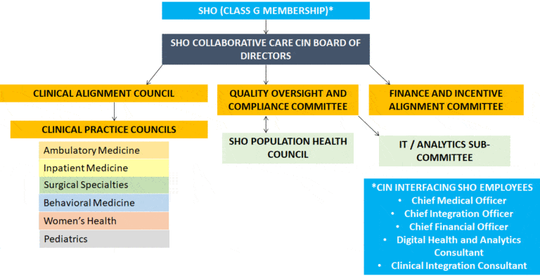CIN Structure - Suburban Health Organization